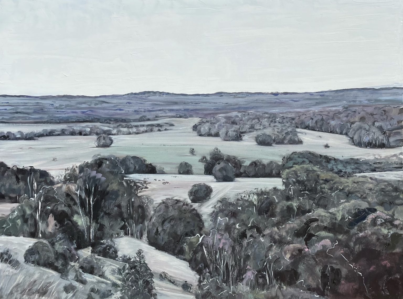 Treetops – Walcha Gallery of Art